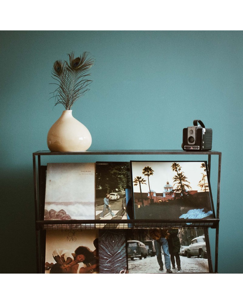 Range vinyle Glen | Meubles vinyles - Présentoir disque vinyle